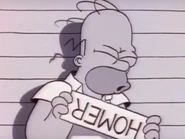 I've Been Robbed | Simpsons Wiki | Fandom