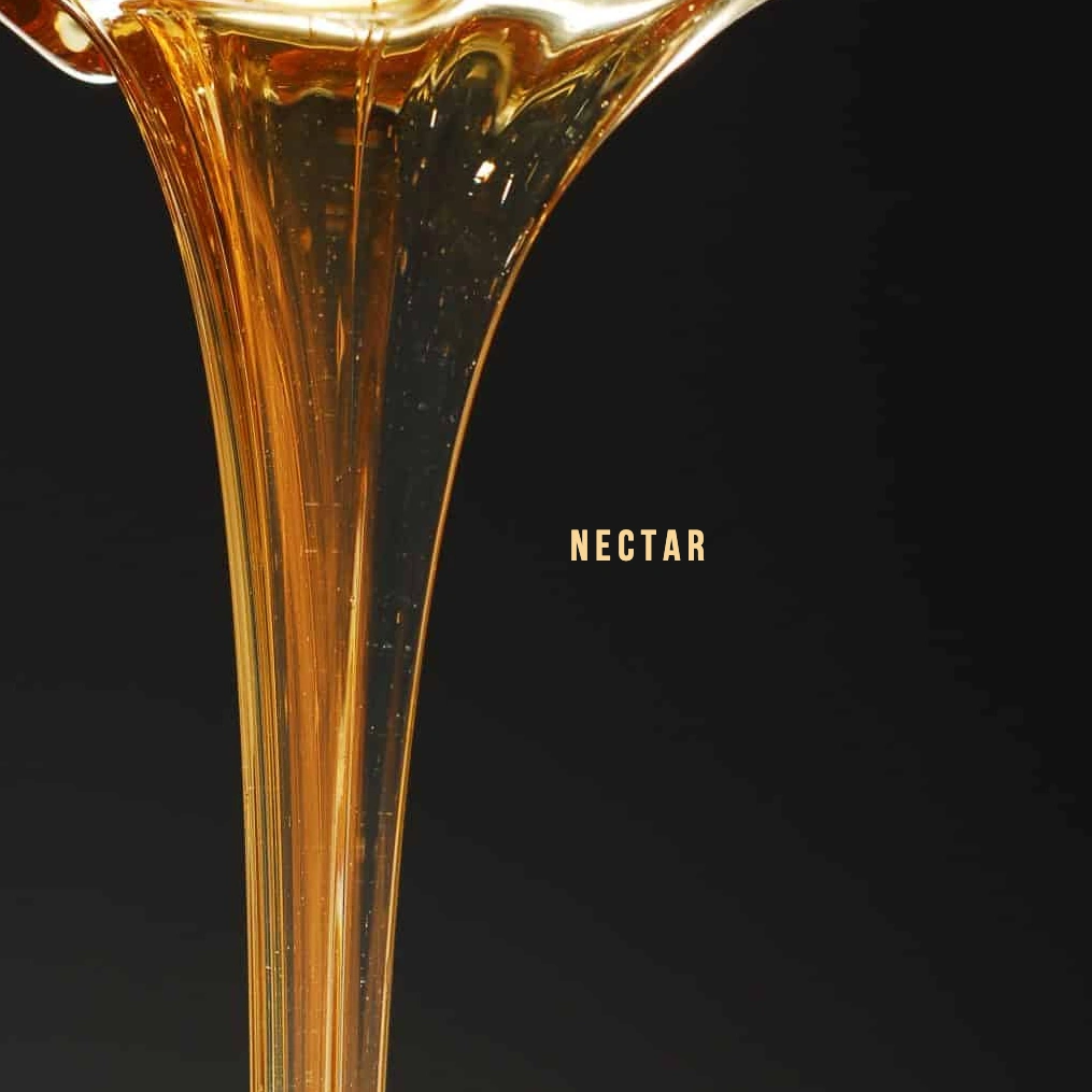 Nectar | Simpsons Fanon | Fandom