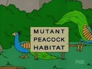 Mutant Peacock | The Simpsons: Tapped Out Wiki | Fandom