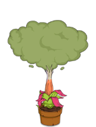 Sumatran Century Flower | The Simpsons: Tapped Out Wiki | Fandom