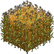 Cheddarbarrel Farm | The Simpsons: Tapped Out Wiki | Fandom