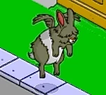 Bunny #24601 | The Simpsons: Tapped Out Wiki | Fandom