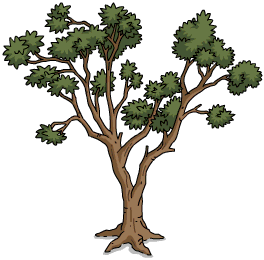 Desert Tree | The Simpsons: Tapped Out Wiki | Fandom