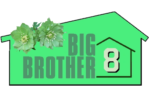 Big Brother 8 (US) | Sims Big Brother Wiki | Fandom