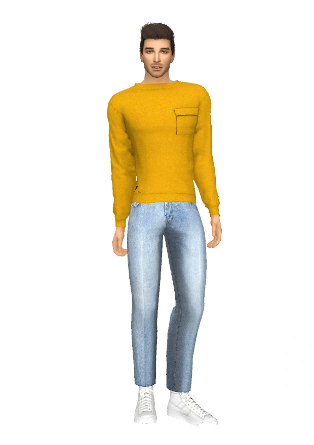 Connor Poe | Sims Big Brother Wiki | Fandom