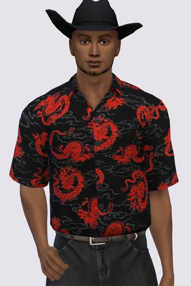 Zayne Brito | Sims Big Brother Wiki | Fandom