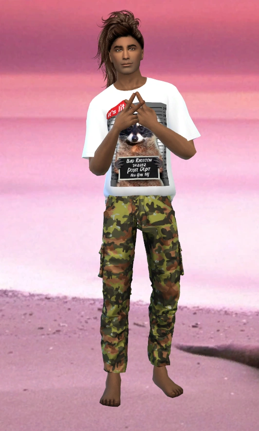 CJ Bajwa | Sims Survivor Wiki | Fandom