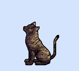 Dapplepelt | Sims 3 Teonna's Warrior Cat Wiki | Fandom