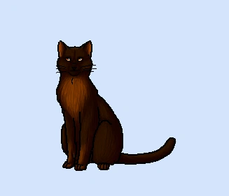 Cedarstar | Sims 3 Warrior Cats Information Wiki | Fandom