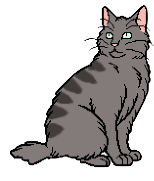 Dumpling | Sims 3 Warrior Cats Wiki | Fandom