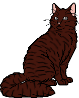 Shadowheart | Sims 3 Warrior Cats Wiki | Fandom