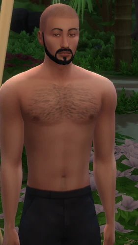Esteban Ryan | Sims 4 Survivor Wiki | Fandom