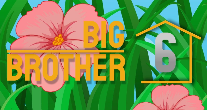 Big Brother 6 (US) | Sim's BB Wiki | Fandom