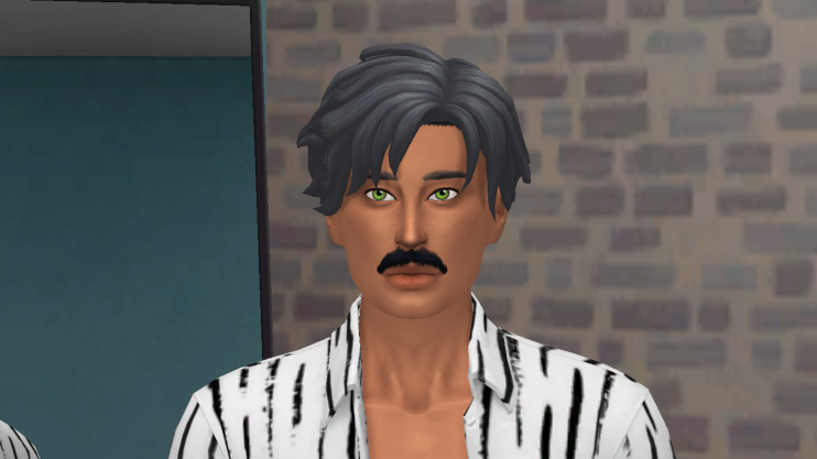 Nathan Flacon | Sims Big Brother By Cris Maniatic Wiki | Fandom