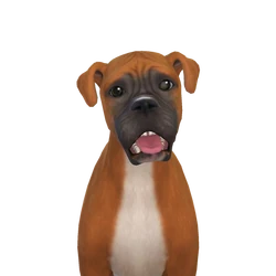 Xena | The Sims Wiki | Fandom