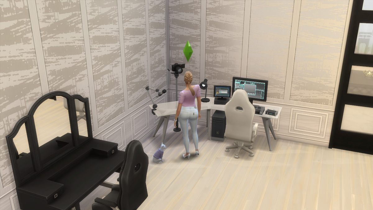 Video station | The Sims Wiki | Fandom