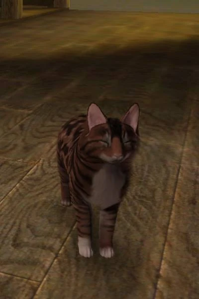 Fanon:Jazz Rodrigues | The Sims Wiki | Fandom