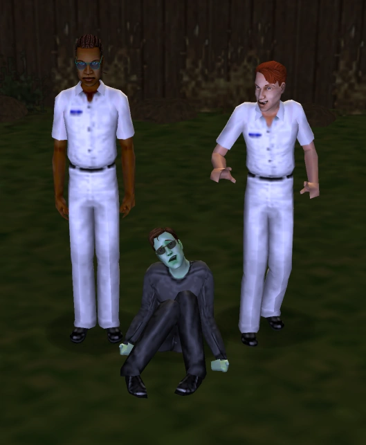 Orderly | The Sims Wiki | Fandom