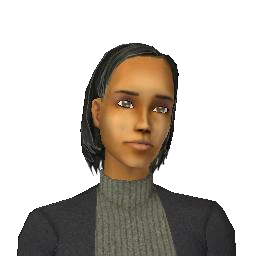 Hero Monty | The Sims Wiki | Fandom