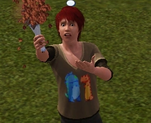 Category:Sims who love falafel (fanon) | The Sims Wiki | Fandom