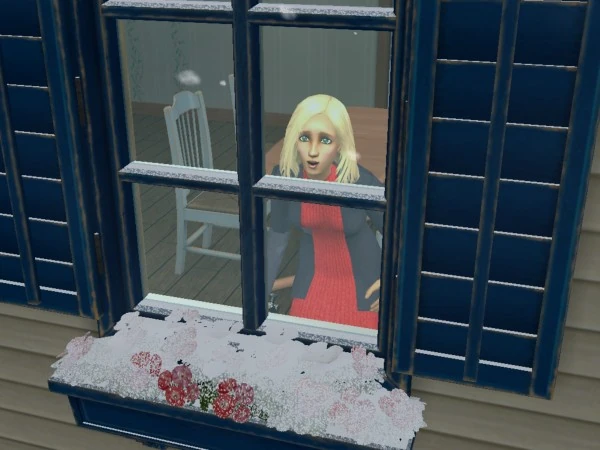 Weather | The Sims Wiki | Fandom