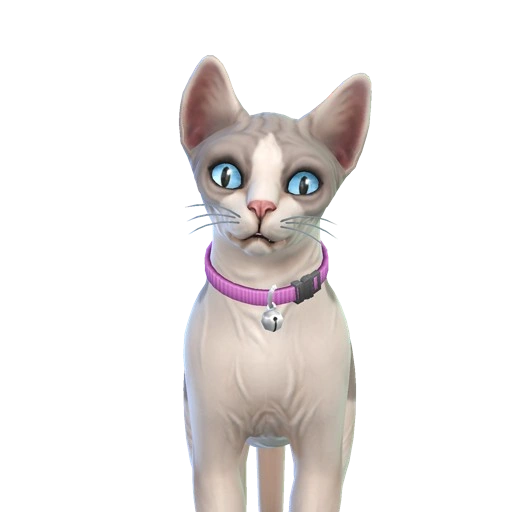 Клео (кошка) | The Sims Вики | Fandom