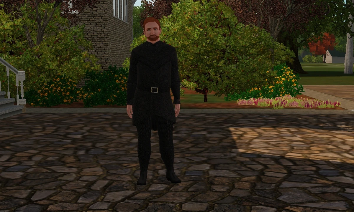 Seamus O'Connell | The Sims Wiki | Fandom