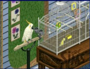 Bird | The Sims Wiki | Fandom