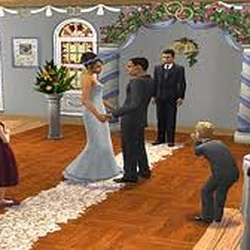 The Sims 2 Celebration Stuff