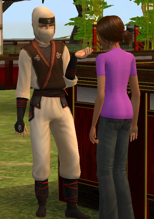 Ninja | Simpédia, Wiki Les Sims | Fandom