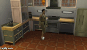Death | The Sims Wiki | Fandom