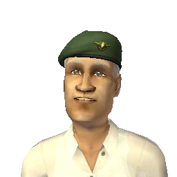 General Rock Grunt | The Sims Wiki | Fandom