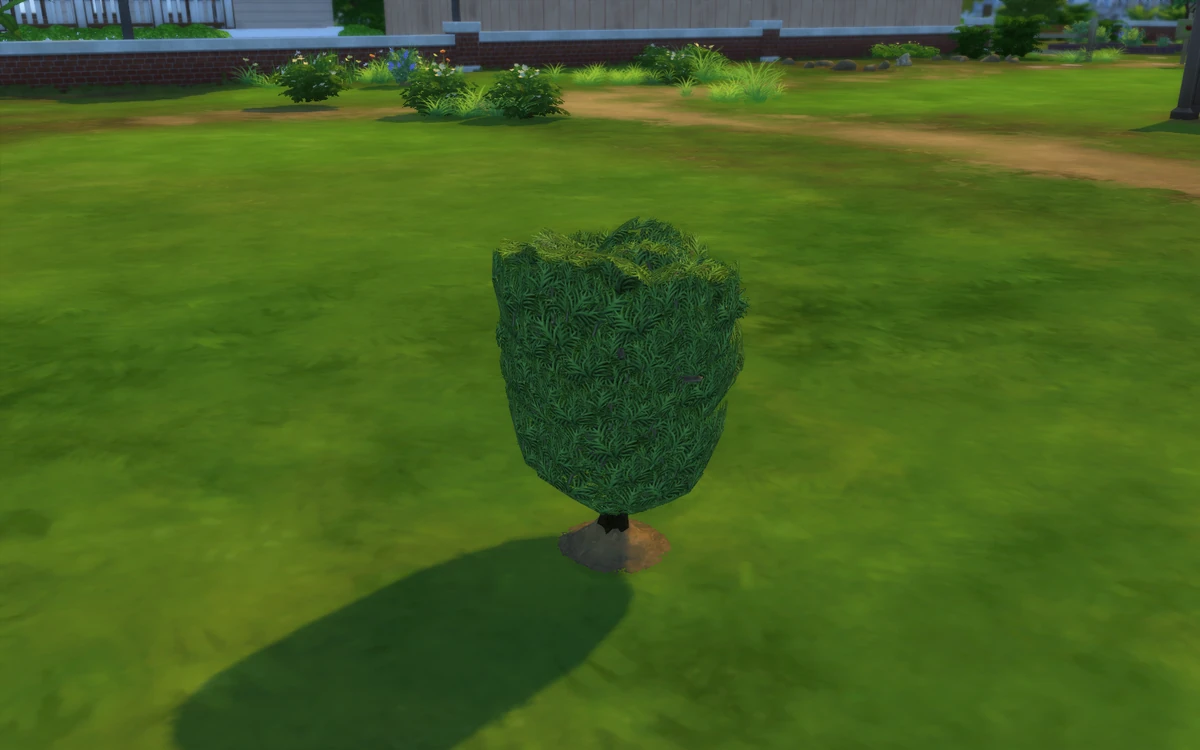 Bonsai tree | The Sims Wiki | Fandom