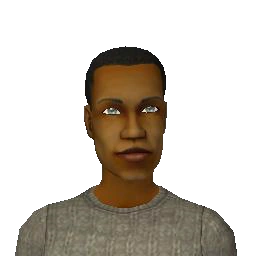 Ray Fleig | The Sims Wiki | Fandom