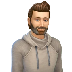 SimGuru Ninja | The Sims Wiki | Fandom
