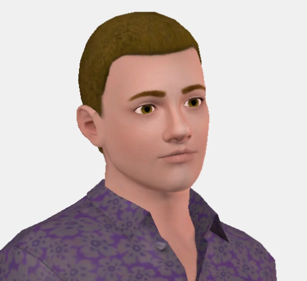 Fanon:Nicolas Gordon | The Sims Wiki | Fandom