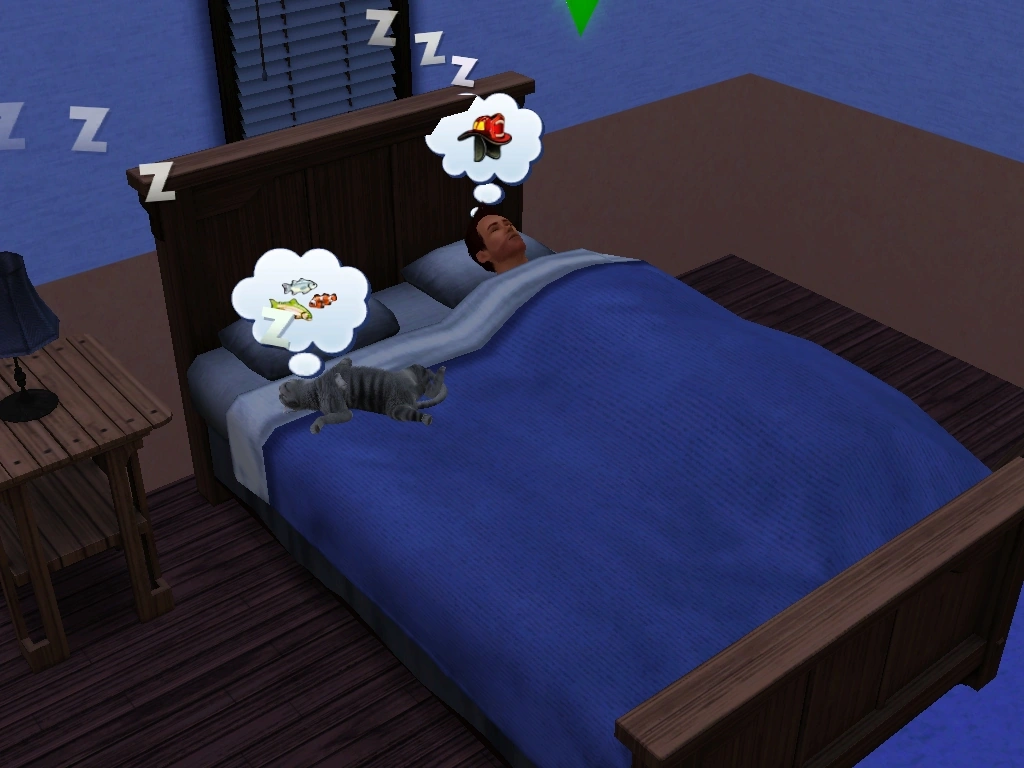 Energy | The Sims Wiki | Fandom