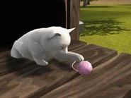 Cat | The Sims Wiki | Fandom