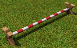 Jumping obstacle | The Sims Wiki | Fandom