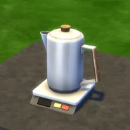 Limited expansion items | The Sims Wiki | Fandom