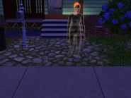 Meteor | The Sims Wiki | Fandom