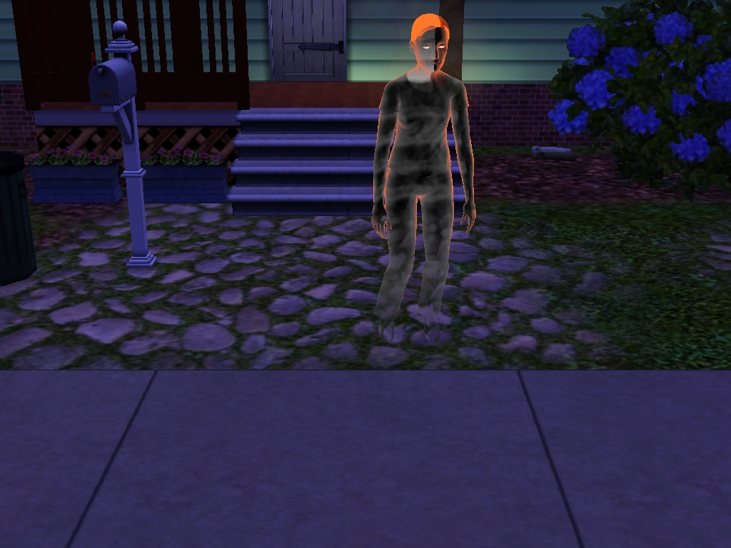 Meteor | The Sims Wiki | Fandom