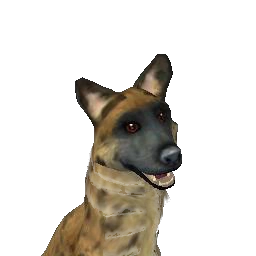 Koaro | The Sims Wiki | Fandom