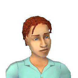 Pierce Walter | The Sims Wiki | Fandom