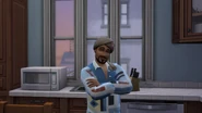 Raj Rasoya | The Sims Wiki | Fandom