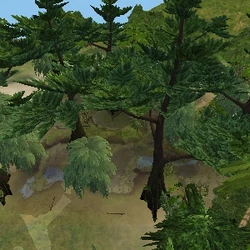 The Swamp | The Sims Wiki | Fandom