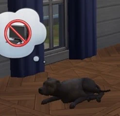Fanon:Zora Polanco | The Sims Wiki | Fandom