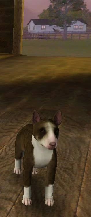 Fanon:Lily Hall | The Sims Wiki | Fandom