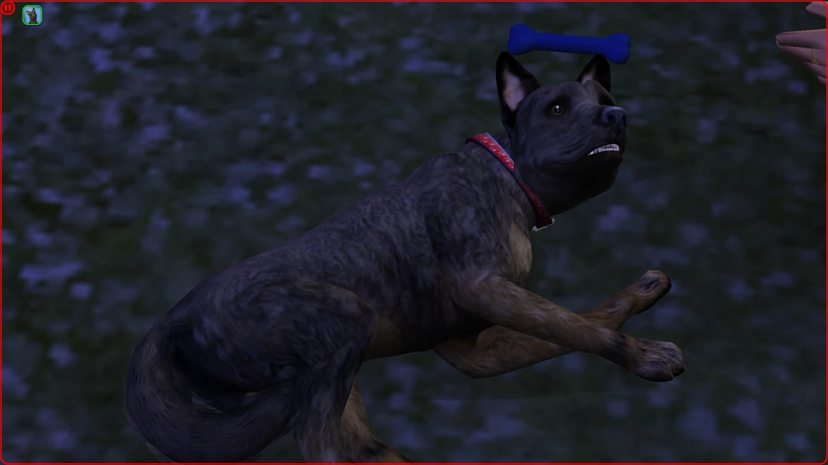 Fanon:Rocky Furtado | The Sims Wiki | Fandom