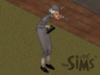 Agnes Crumplebottom | The Sims Wiki | Fandom